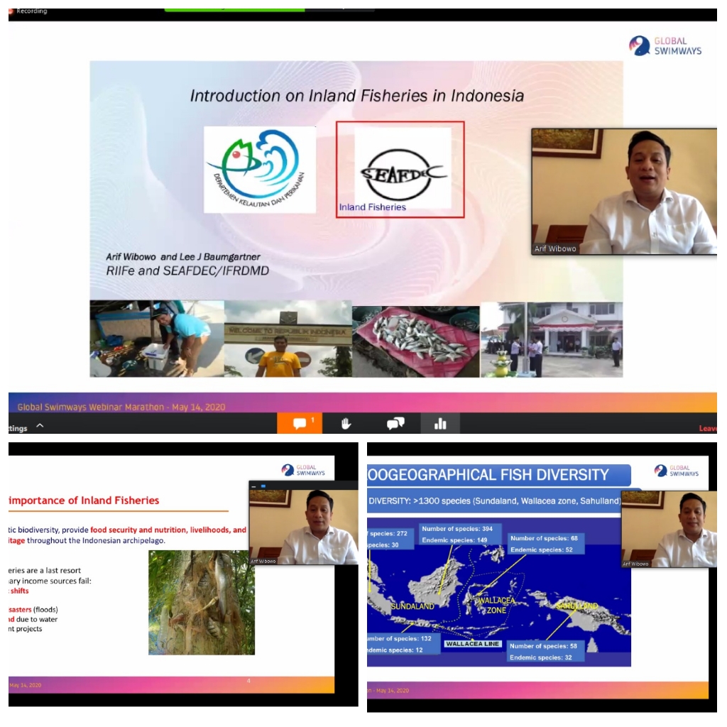 Chief of SEAFDEC/IFRDMD Participates in The Global Swimways Webinar ...