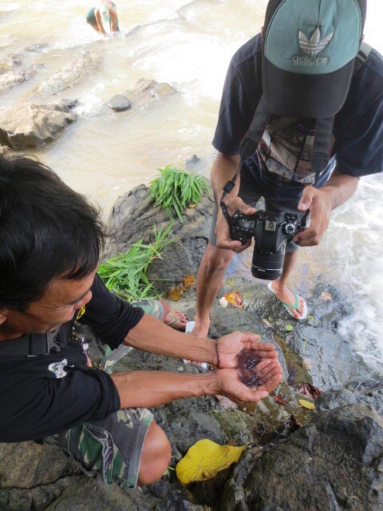 Regular Survey for Eel Catch Sampling Survey Activity in Pelabuhan Ratu ...