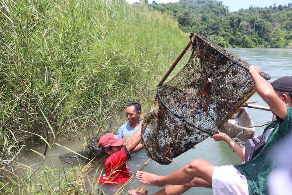 Another update of Eel Catch Sampling Survey in Poso, Central Sulawesi ...