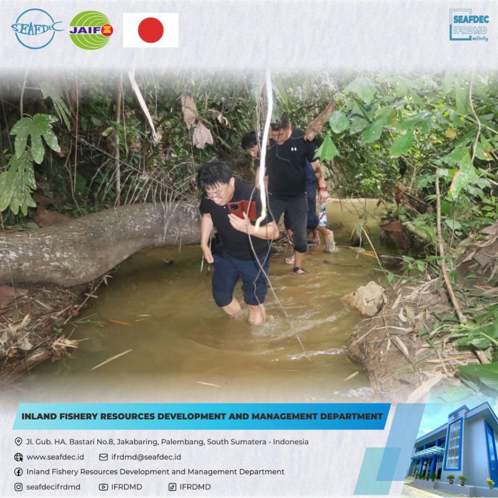 Field Monitoring Under the JAIF Project on Tropical Eel Research and ...