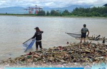 SEAFDEC/IFRDMD Supports Capacity Building through the Practical Study ...